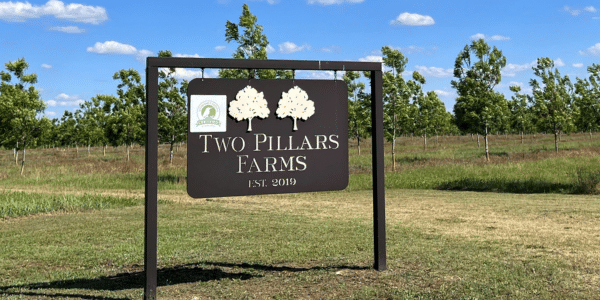 The Orchards of Two Pillars Farms - Fountains Land – Land Marketing Experts
